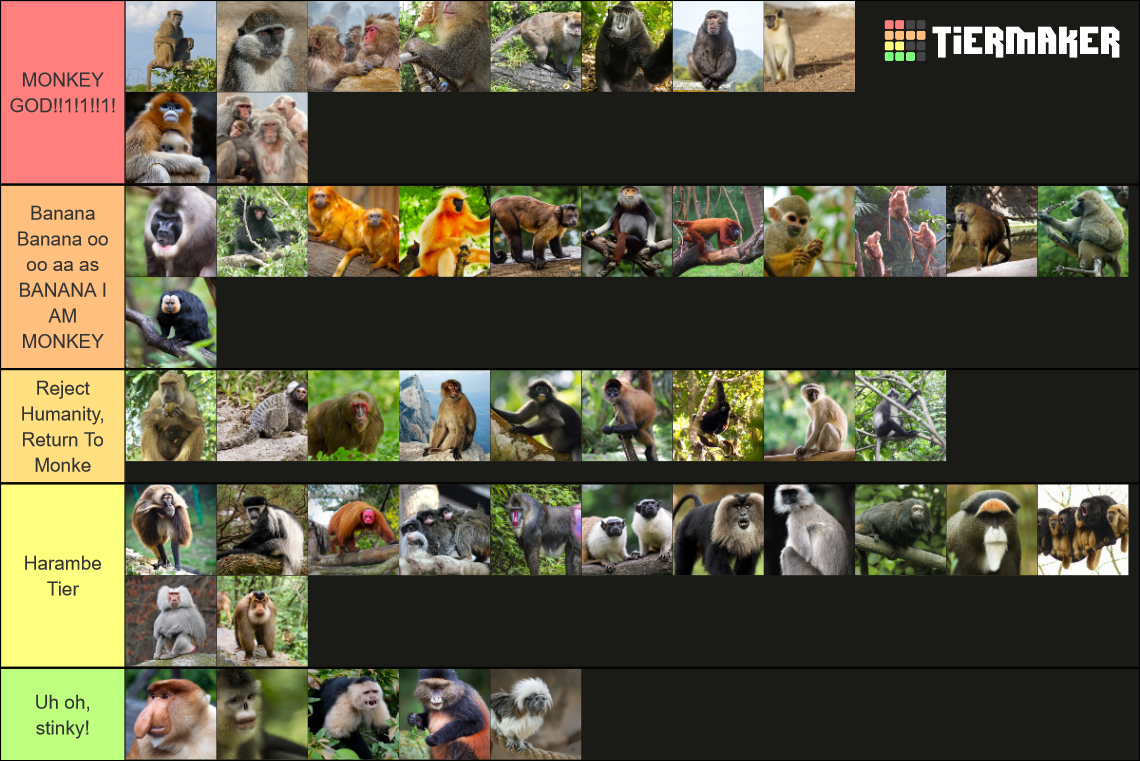 Monkey Tier List (Community Rankings) - TierMaker
