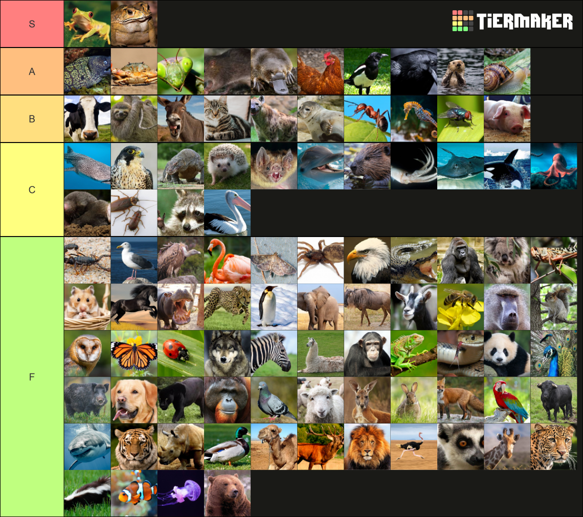 Amenstein Animal Tierlist Tier List (Community Rankings) - TierMaker