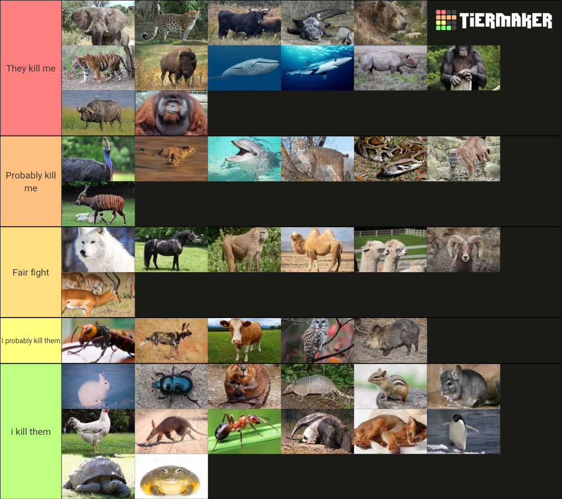 1000 different animal species -basically every single animal Tier List ...