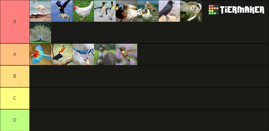 Bird TierList Tier List (Community Rankings) - TierMaker