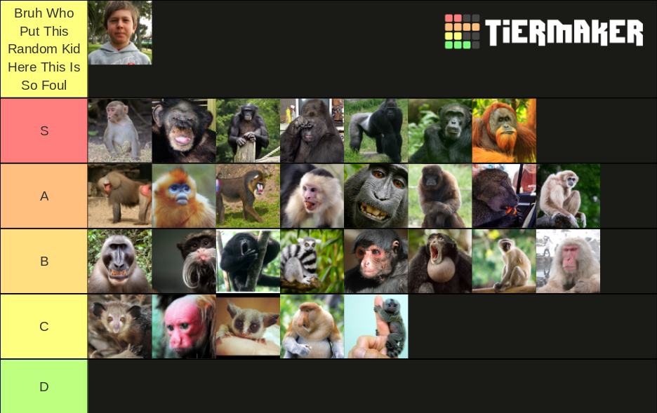 monkey Tier List (Community Rankings) - TierMaker