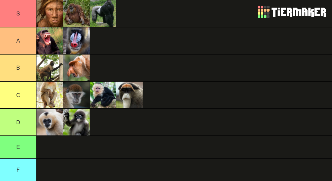 Primate Tier List (Community Rankings) - TierMaker