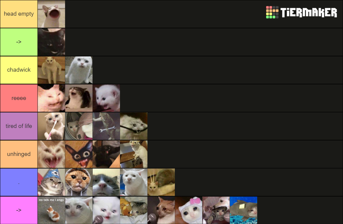 CAT MEMES Tier List (Community Rankings) - TierMaker