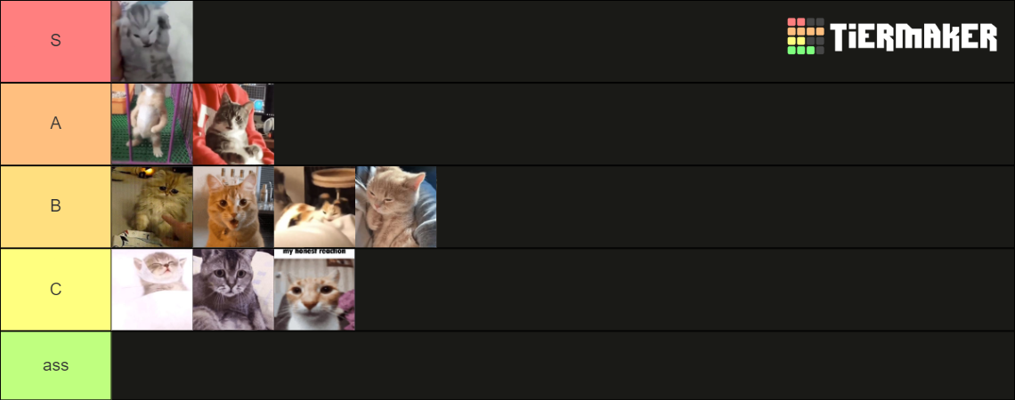 cat gifs Tier List (Community Rankings) - TierMaker