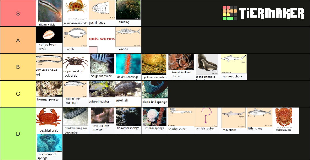 funny fish (and other sea animals) Tier List (Community Rankings ...
