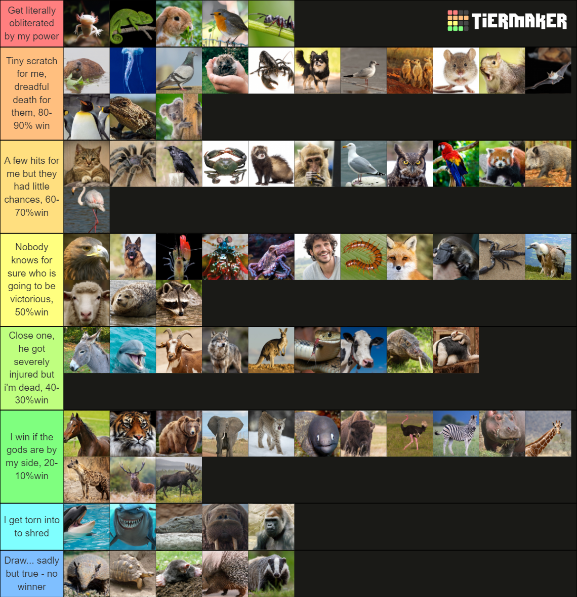 Animals i could beat in a fight Tier List (Community Rankings) - TierMaker