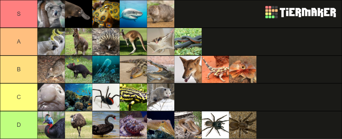 Australian Wildlife Tier List (Community Rankings) - TierMaker