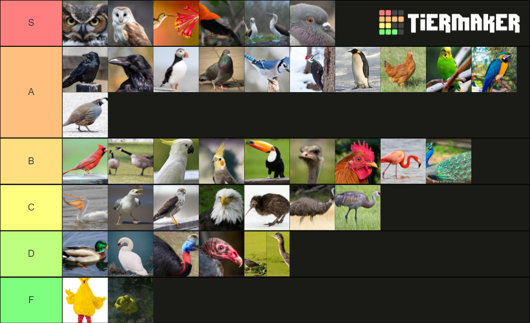 Bird Tier List (Community Rankings) - TierMaker