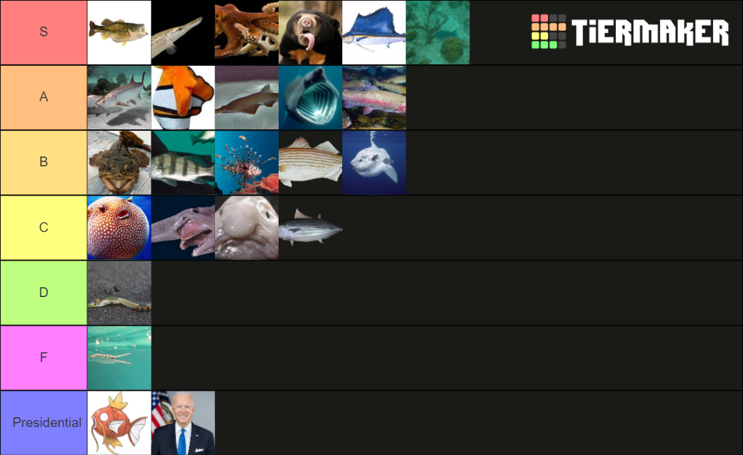 Fish cast Tier List (Community Rankings) - TierMaker
