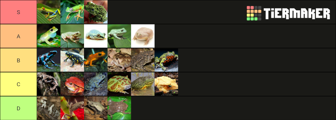 Pet frog tierlist Tier List (Community Rankings) - TierMaker