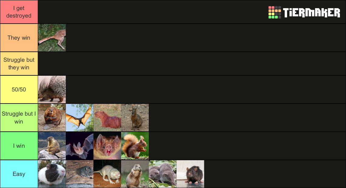 Animal Tierlist Tier List (Community Rankings) - TierMaker