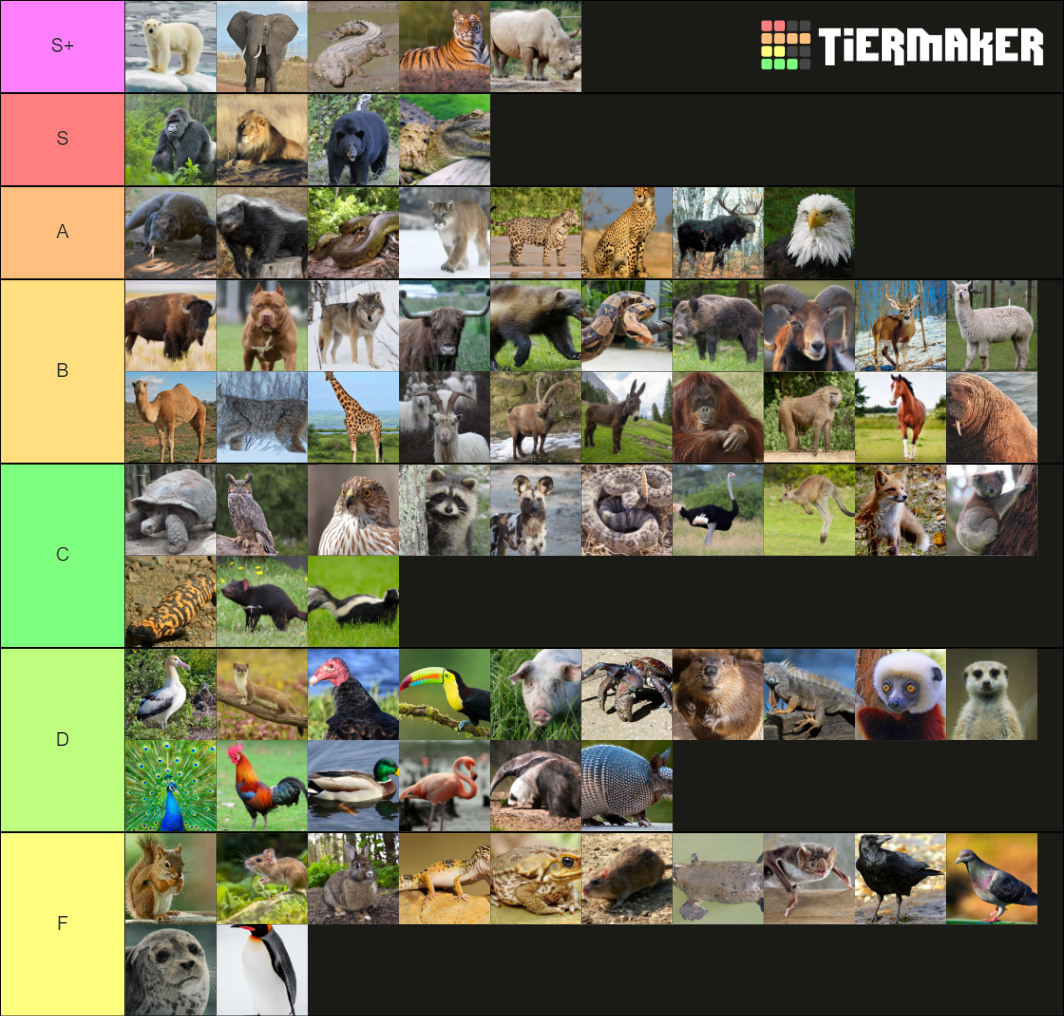 Animal Fight Tier List (Community Rankings) - TierMaker