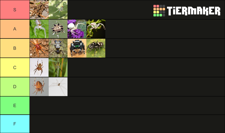 Spiders Tier List (Community Rankings) - TierMaker