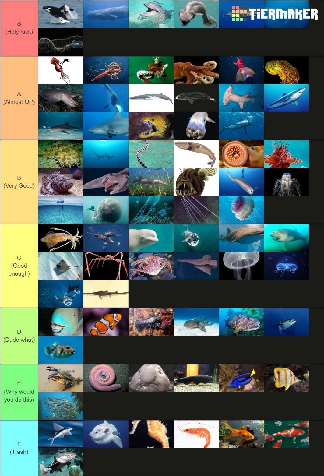 Sea Creatures Tier List (Community Rankings) - TierMaker