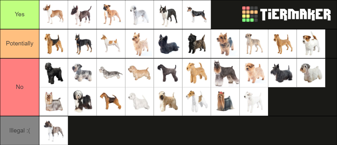 Terrier Dog Breeds Tier List (Community Rankings) - TierMaker