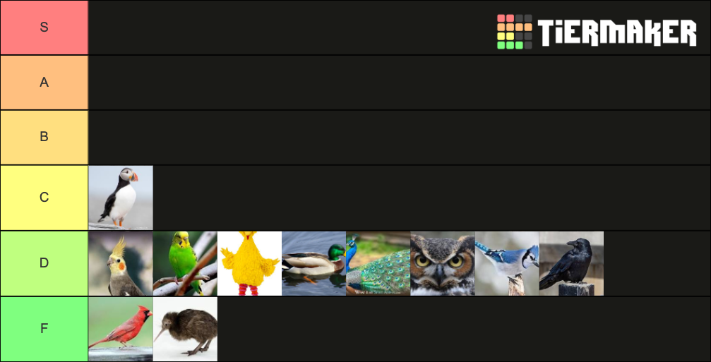 Bird Tier List (Community Rankings) - TierMaker