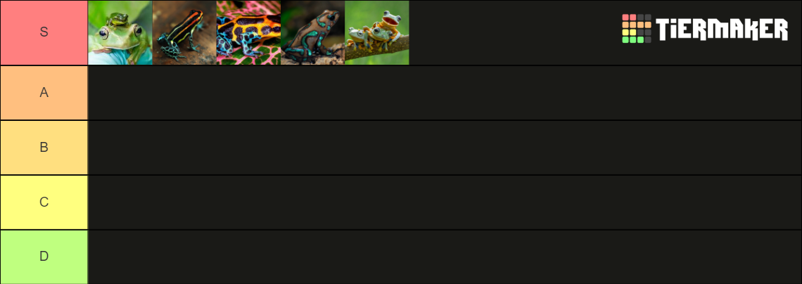 Cute Frogs Tier List (Community Rankings) - TierMaker