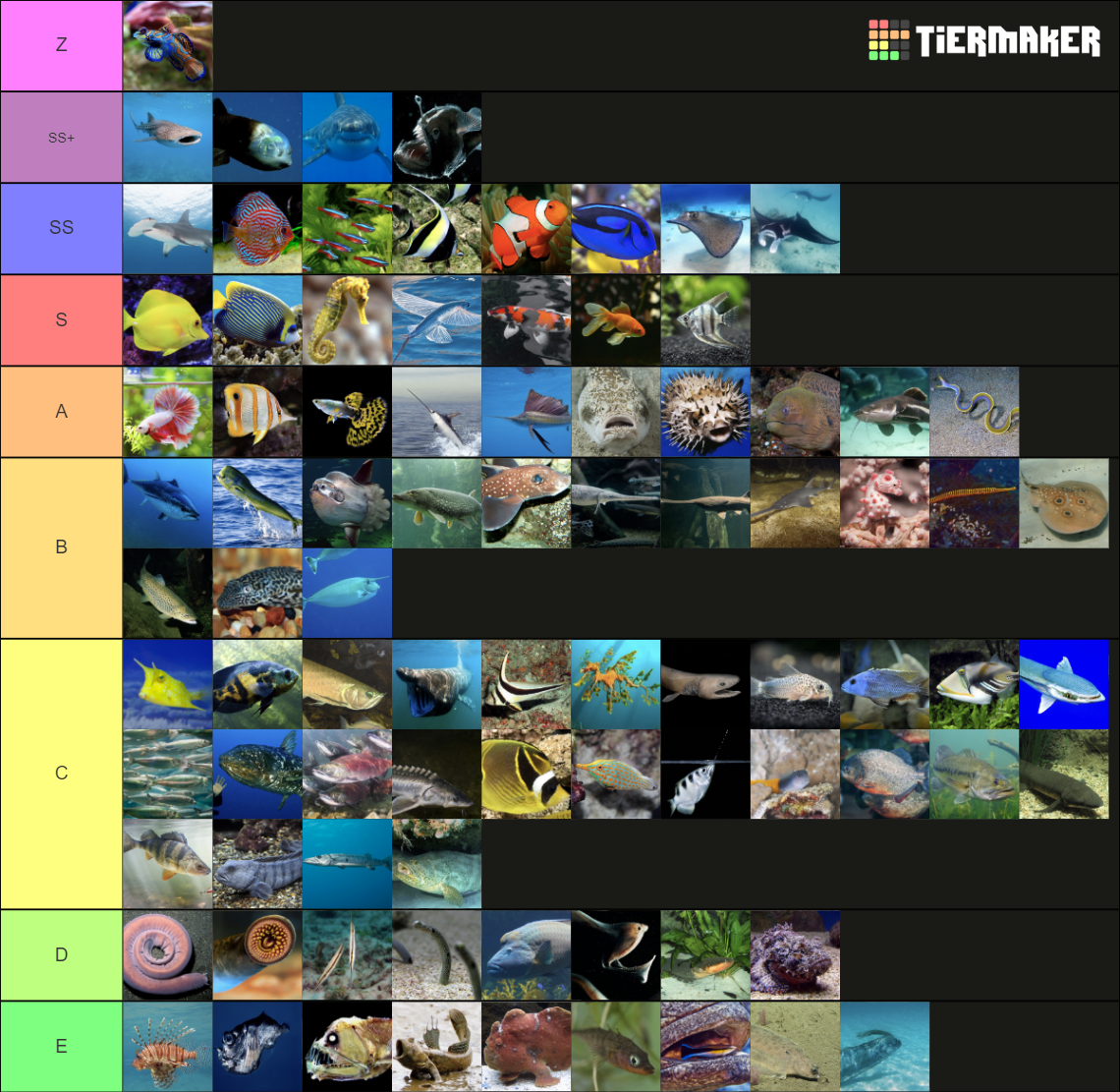 Fish Tier List (Community Rankings) - TierMaker