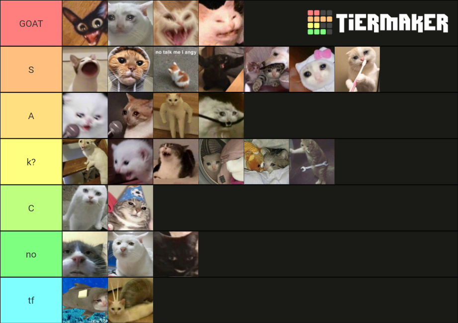 CAT MEMES Tier List (Community Rankings) - TierMaker