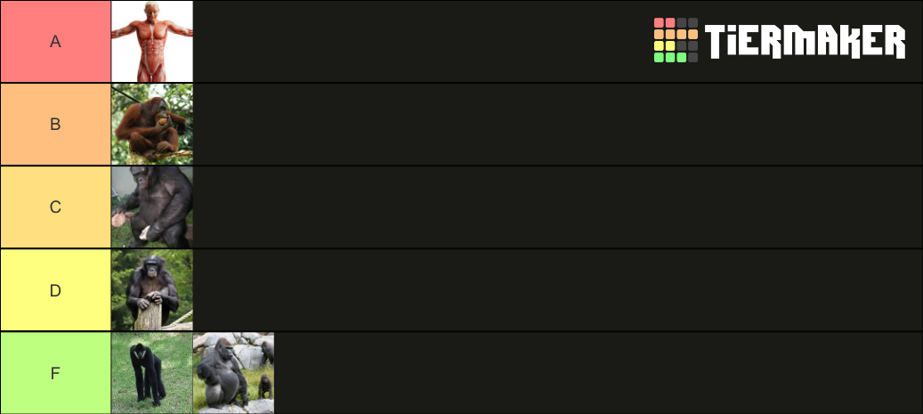 Ape Ranking List Tier List (Community Rankings) - TierMaker