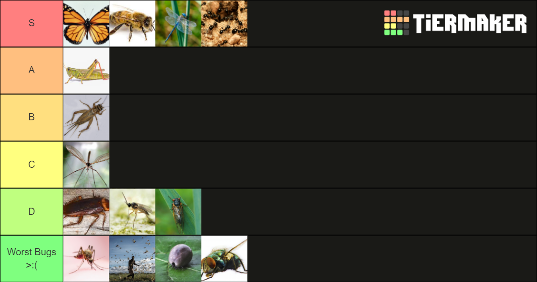Summer Bugs Tier List (Community Rankings) - TierMaker