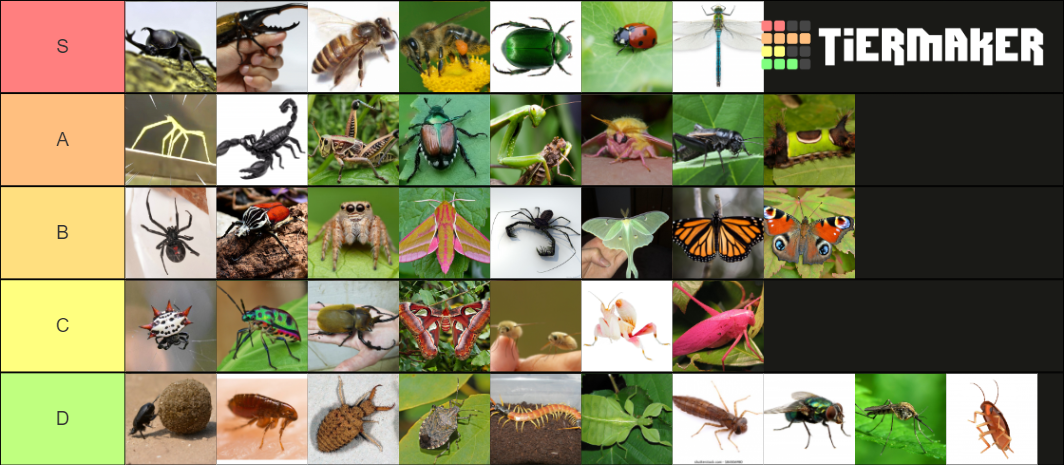 insect and arachnid tierlist Tier List (Community Rankings) - TierMaker