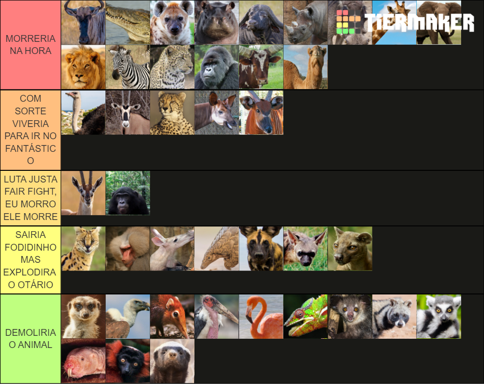 Animals of Africa Tier List (Community Rankings) - TierMaker