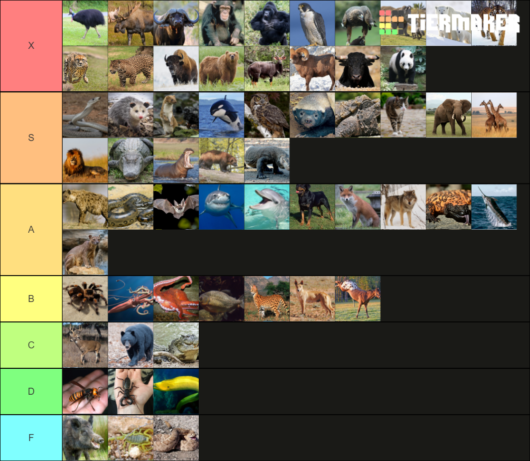 Animals Tier List (Community Rankings) - TierMaker