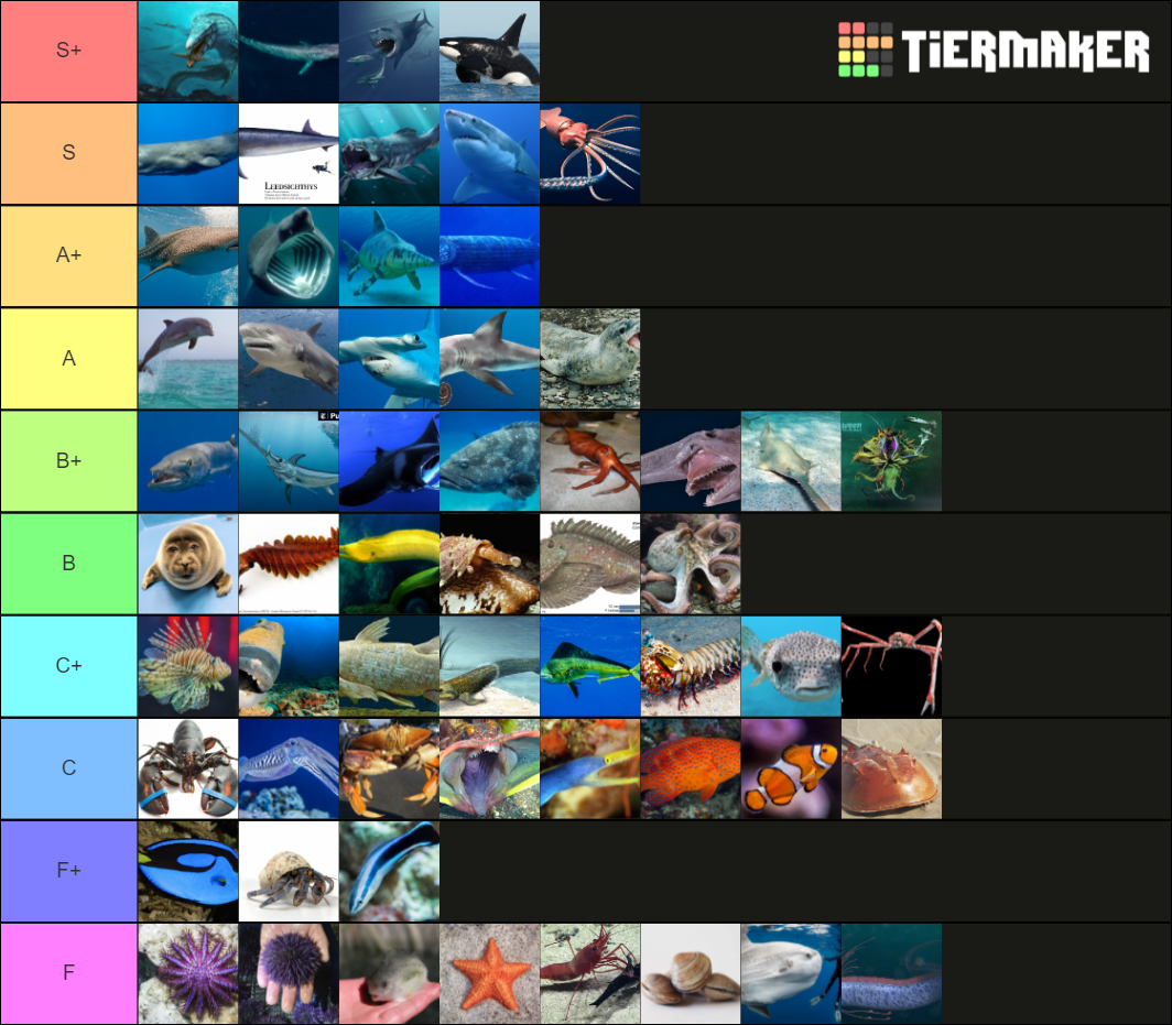 sea creature power tierlist Tier List (Community Rankings) - TierMaker