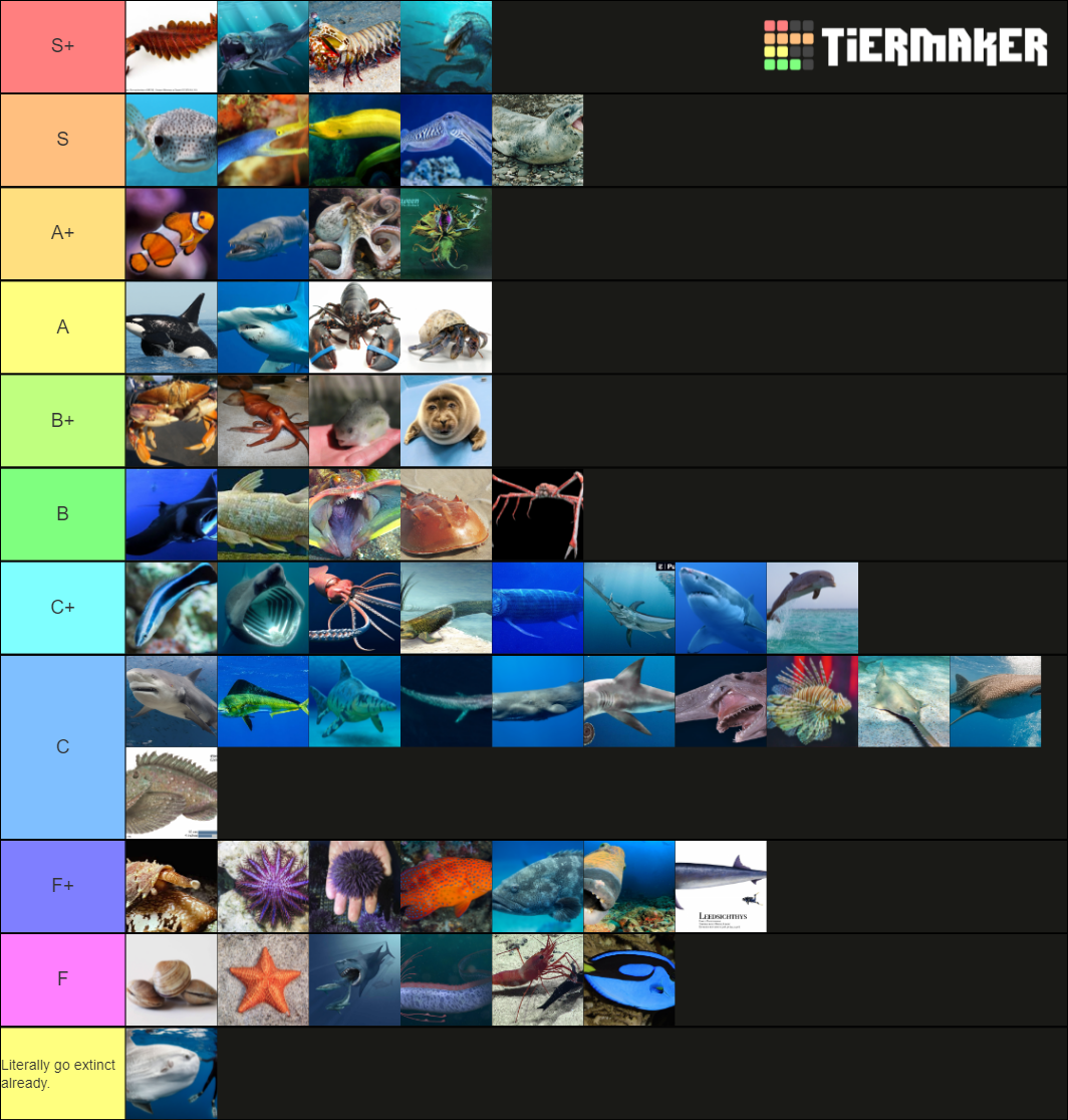 sea creature power tierlist Tier List (Community Rankings) - TierMaker