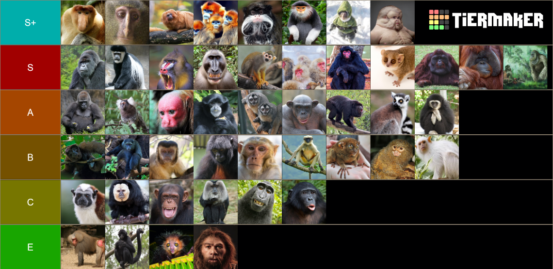 Best Monkey 2 Tier List (Community Rankings) - TierMaker