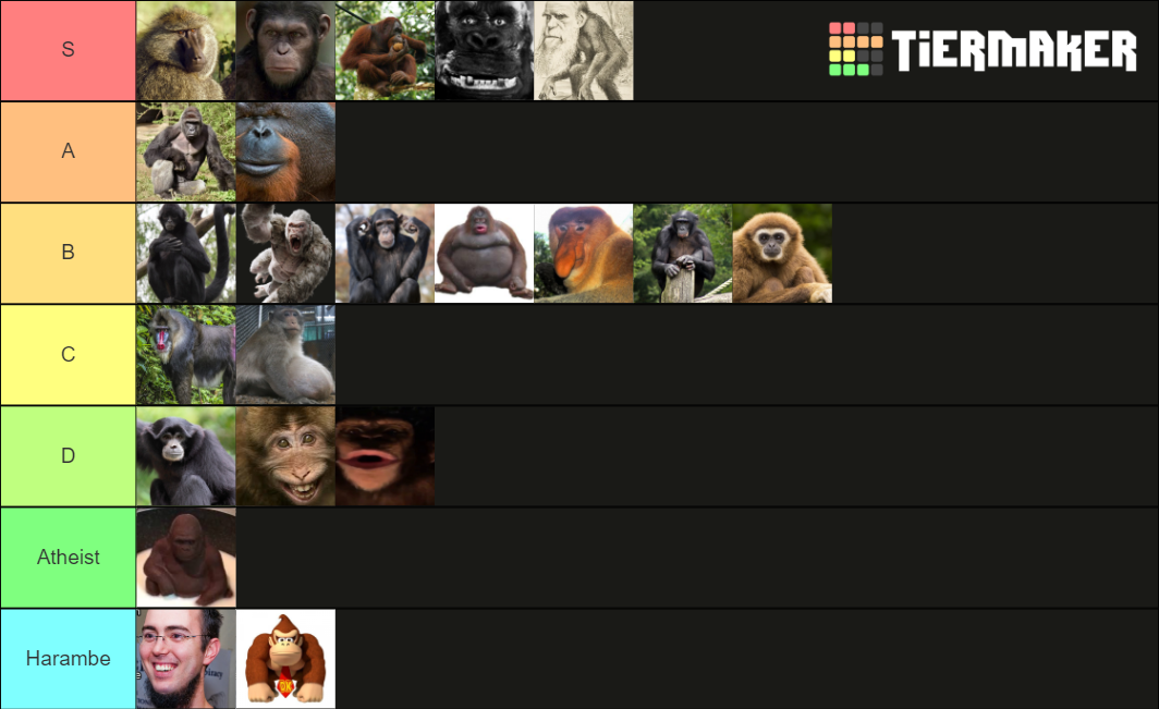 Ape/Monkey Tier List (Community Rankings) - TierMaker