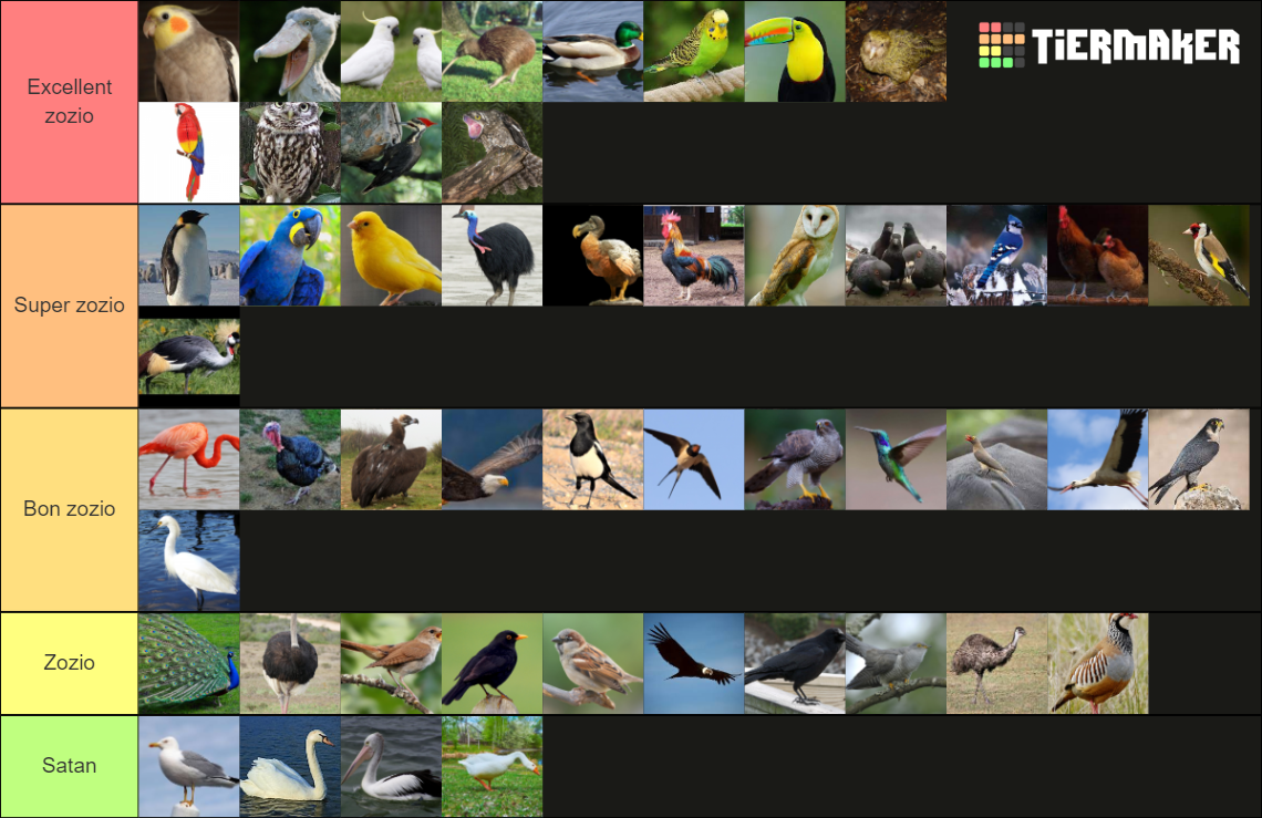 Bird (50 birds) Tier List (Community Rankings) - TierMaker