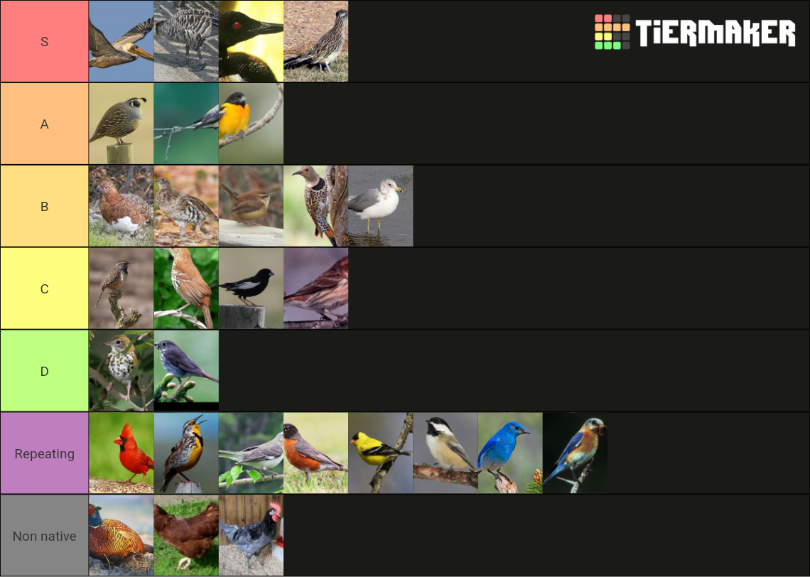 U.S. State Birds Tier List (Community Rankings) - TierMaker