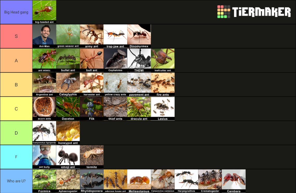 Ants: The Definitive Tier List (Community Rankings) - TierMaker
