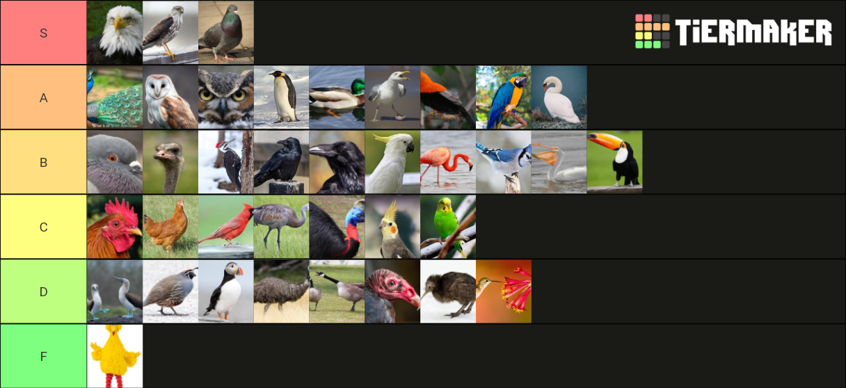 Bird Tier List (Community Rankings) - TierMaker