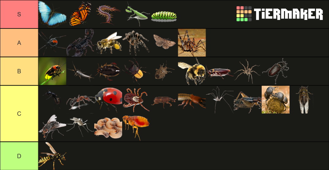 Insect/Arachnid Tierlist Tier List (Community Rankings) - TierMaker
