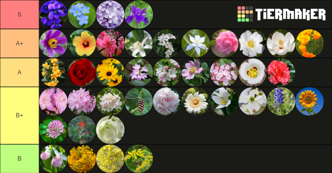 State Flower Tierlist Tier List (Community Rankings) - TierMaker