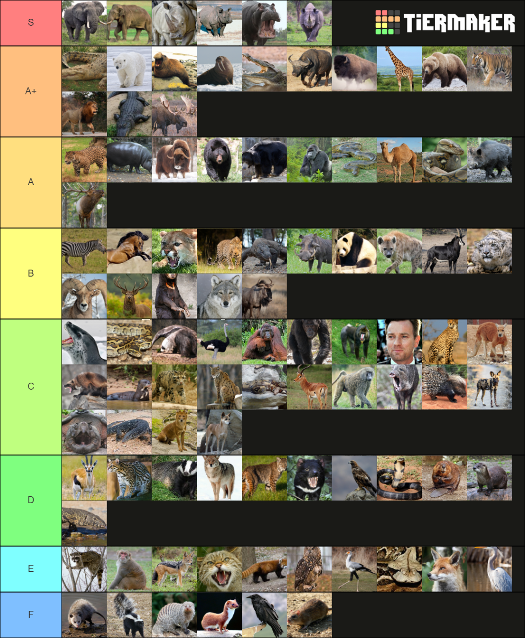 Animal Fight Classes Tier List (Community Rankings) - TierMaker