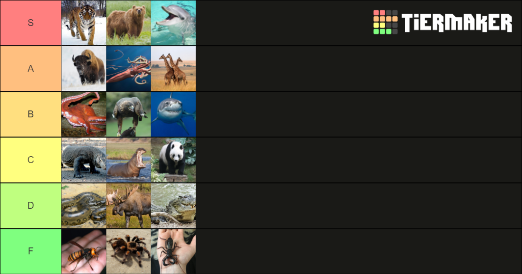Animals Tier List (Community Rankings) - TierMaker