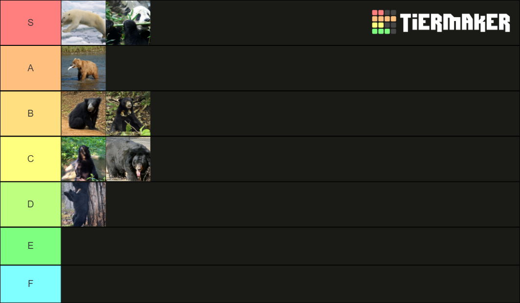 Bears Tier List (Community Rankings) - TierMaker
