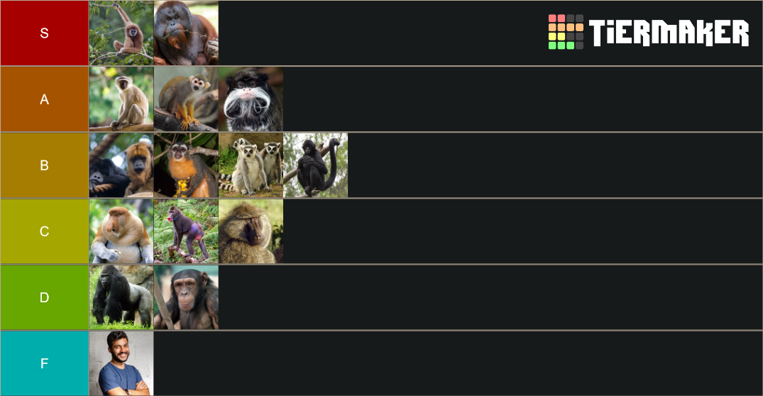 Primate Genus Tier List (Community Rankings) - TierMaker