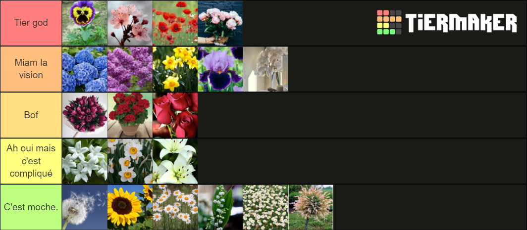 Flowers Tier List (Community Rankings) - TierMaker