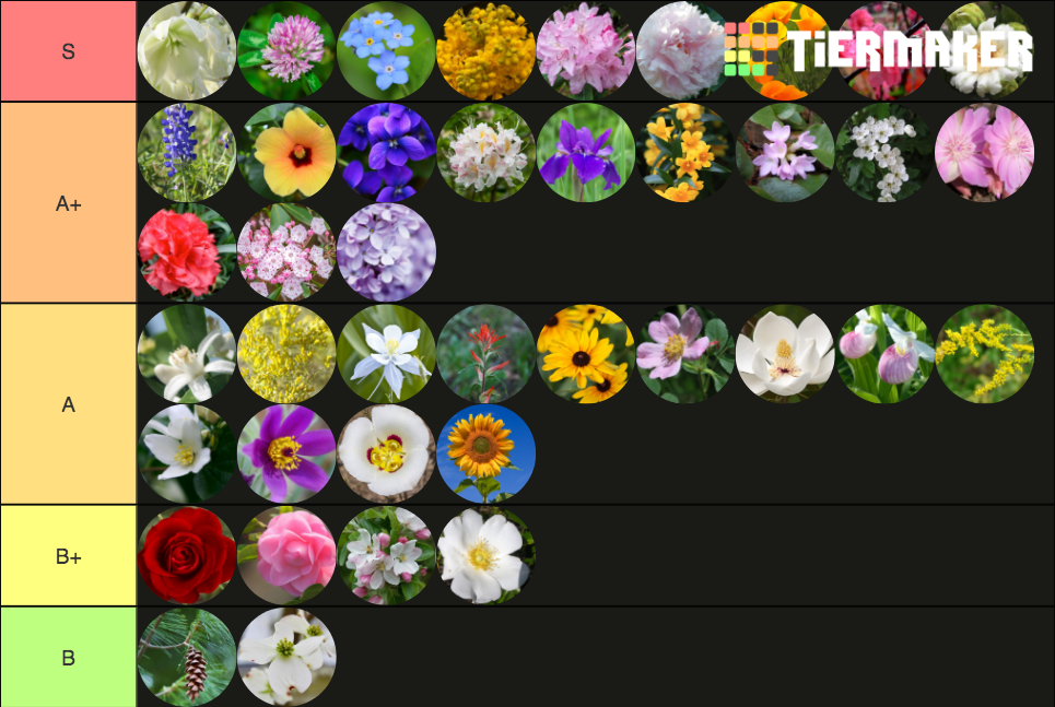 State Flower Tierlist Tier List (Community Rankings) - TierMaker