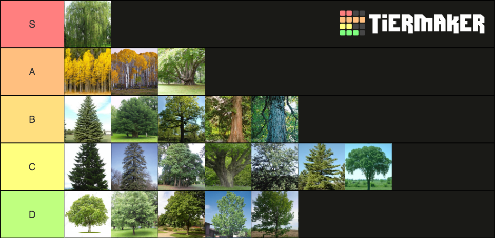 Trees Tier List (Community Rankings) - TierMaker