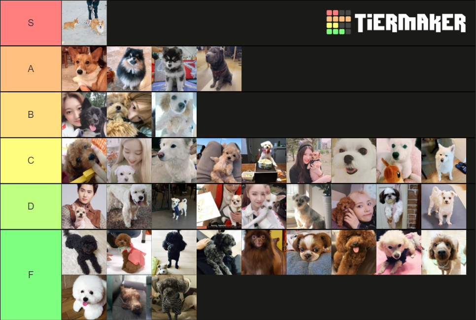 Kpop Idol Dogs Tier List (Community Rankings) - TierMaker