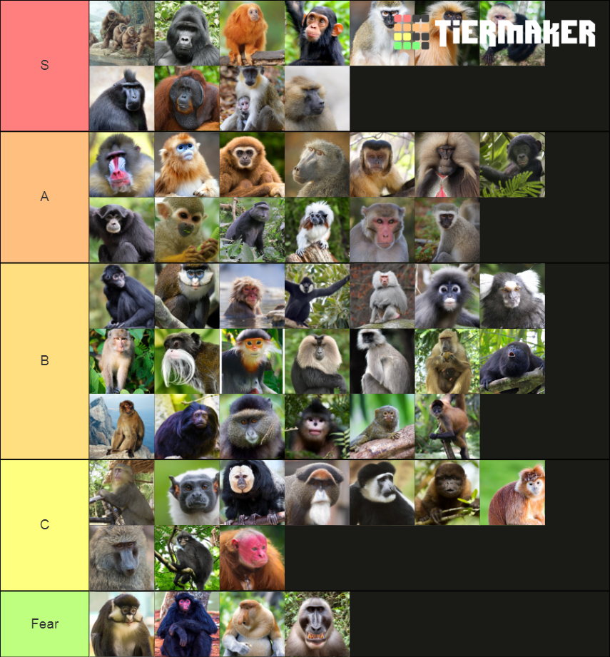 Monkeys/Apes Tier List (Community Rankings) - TierMaker