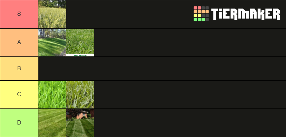 Grass Tier List (Community Rankings) - TierMaker