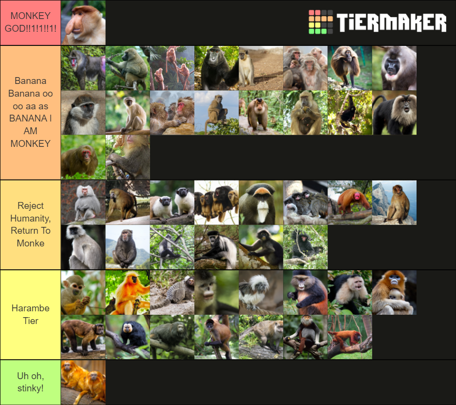 Monkey Tier List (Community Rankings) - TierMaker