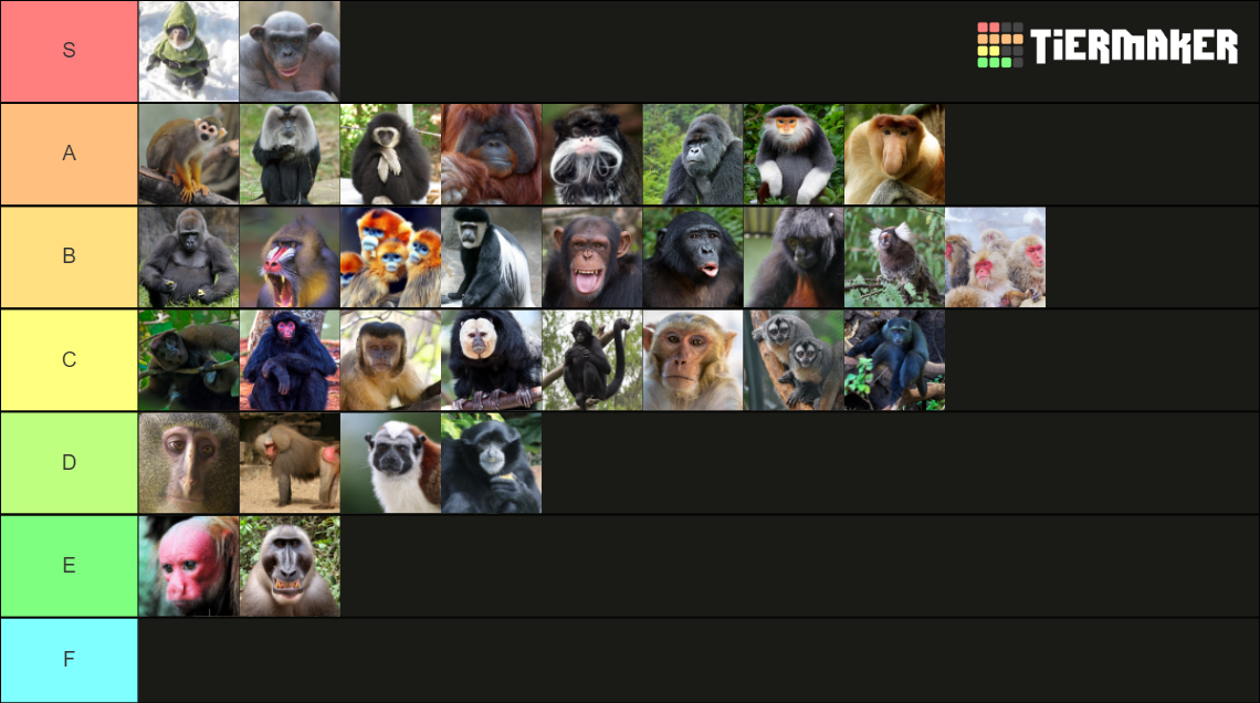 Best Monkey 2 Tier List (Community Rankings) - TierMaker
